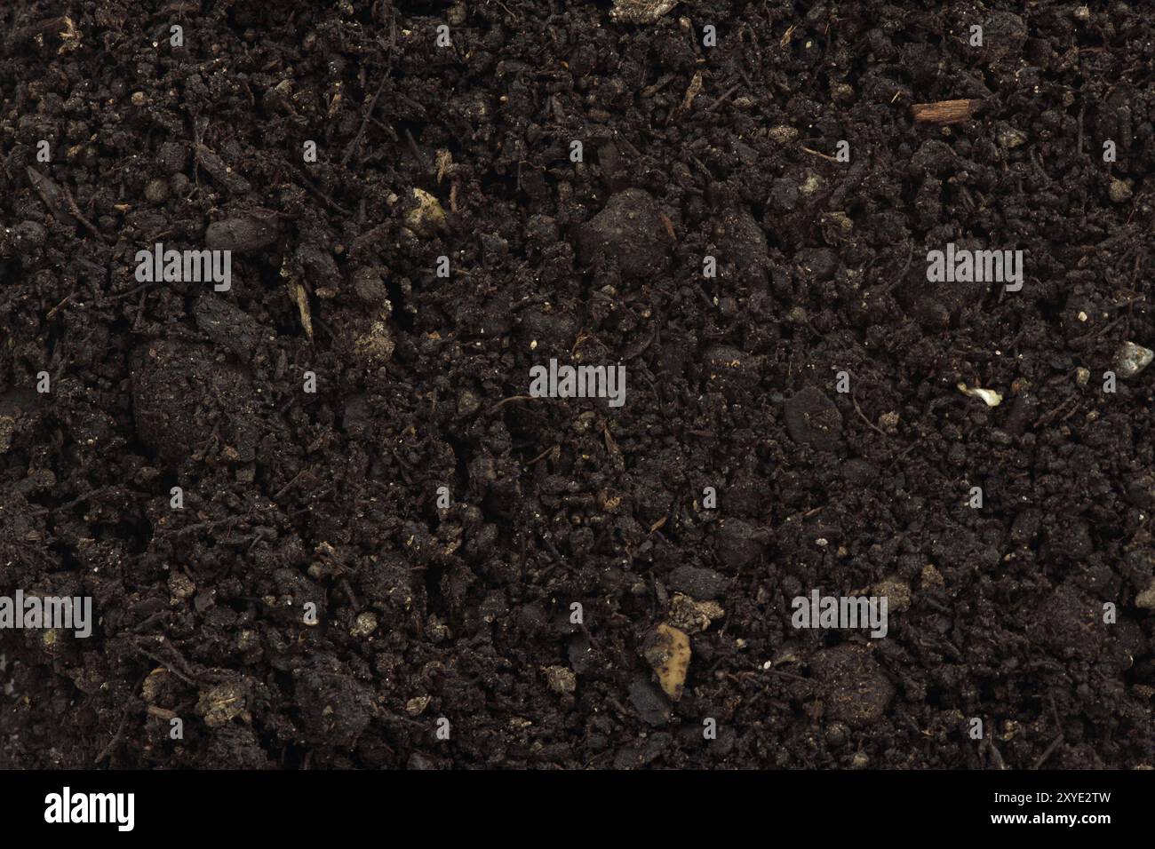 Compost, organic fertilizer, soil amendment, used in horticulture and ...