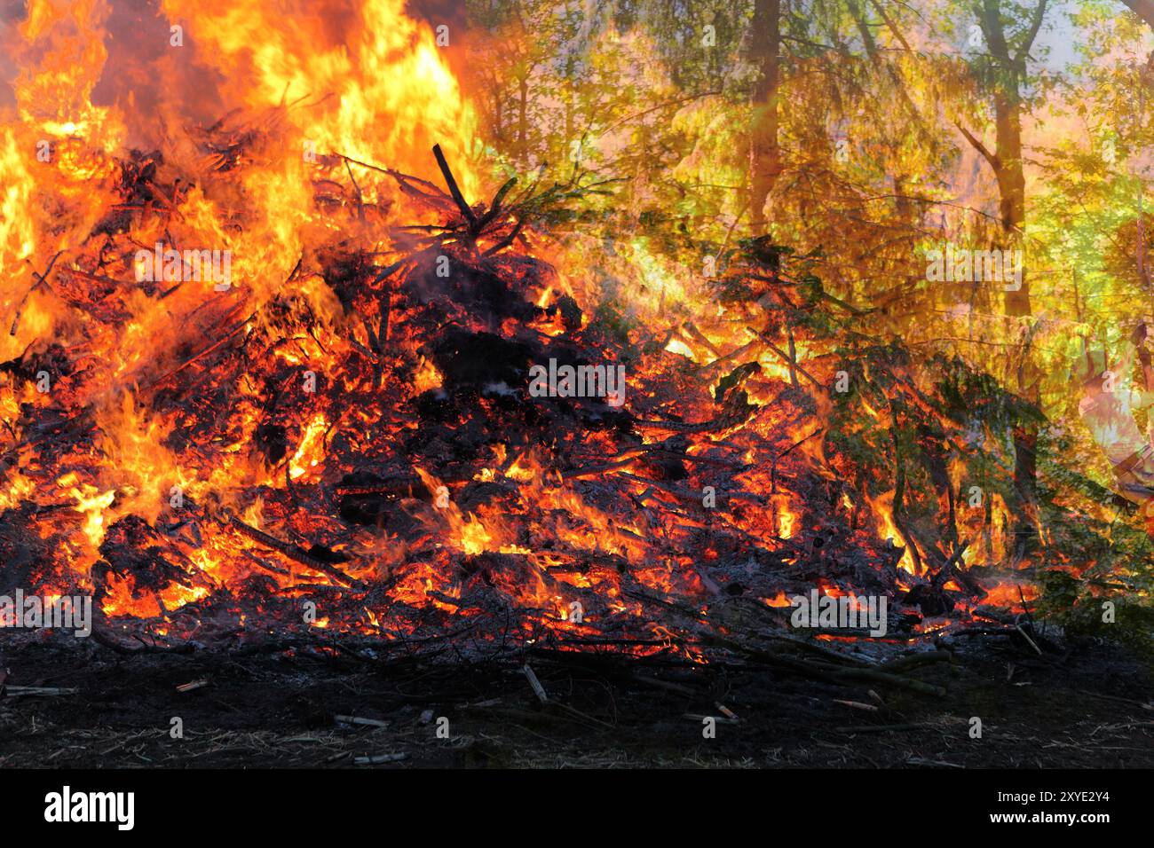 Forest fire the consequence of global warming Stock Photo - Alamy