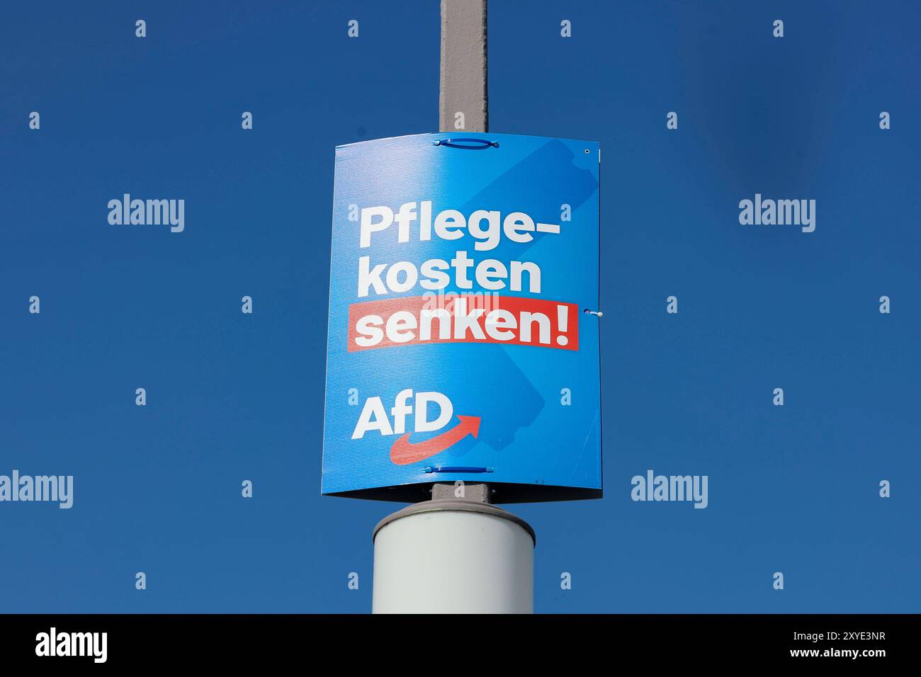 Ein Wahlplakat der Partei AfD haengt an einer Strassenlaterne ...