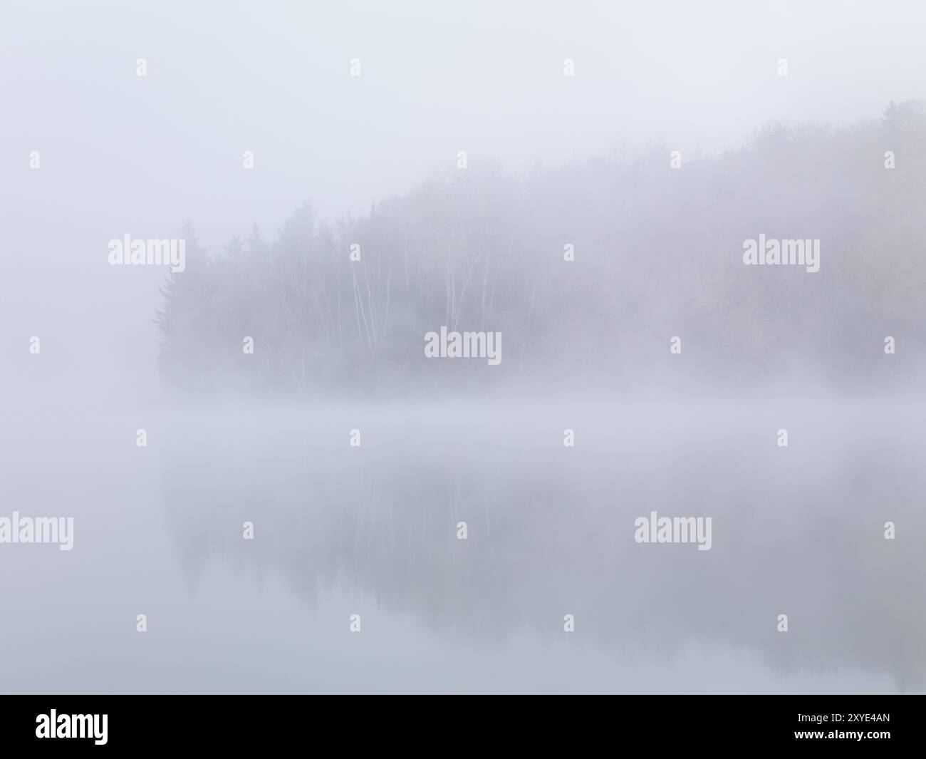 Early morning fall nature scenery of fog rising over The Arrowhead Lake revealing autumn forest ...