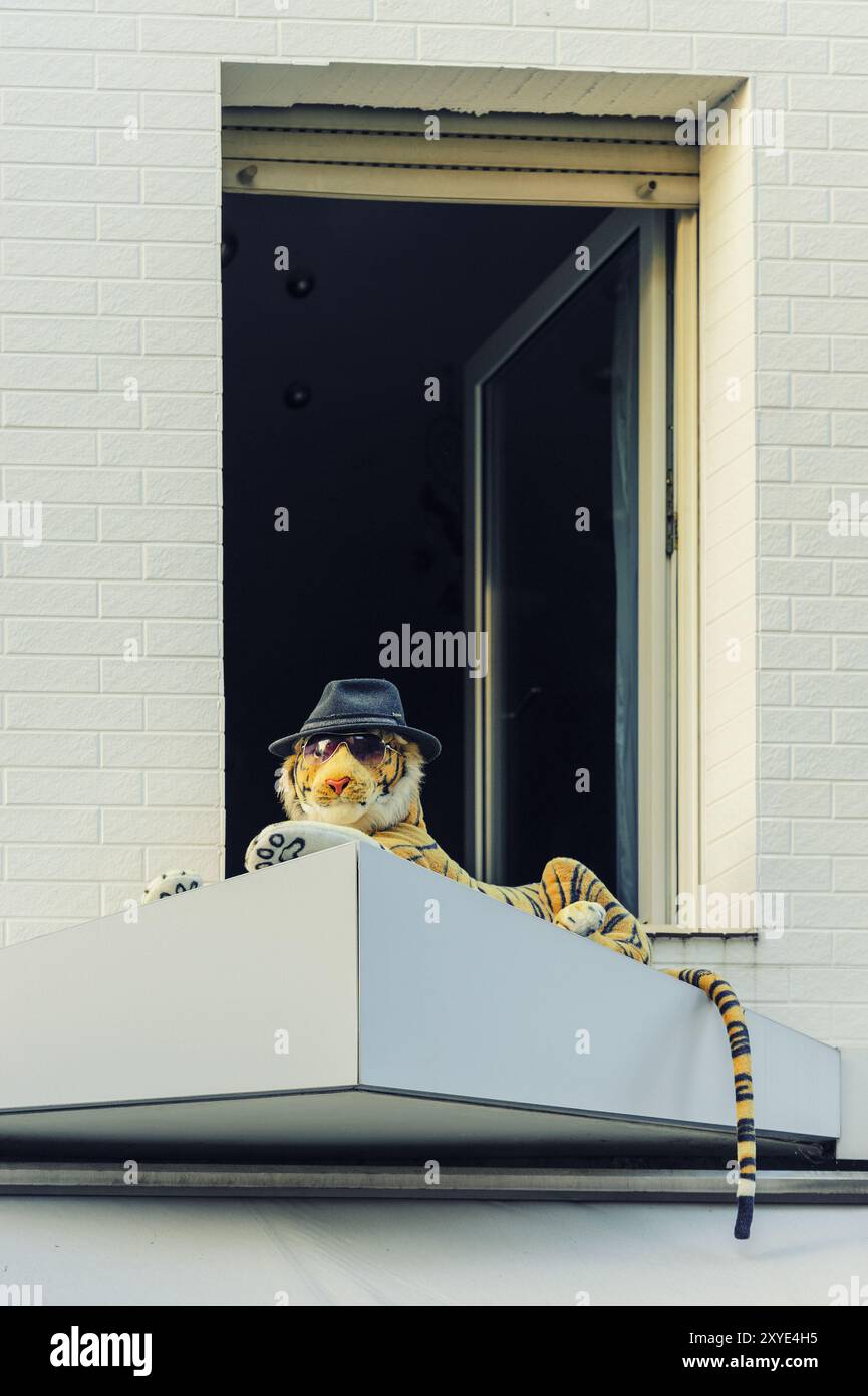 Stuffed tiger lying on the window sill in the sun Stock Photo - Alamy