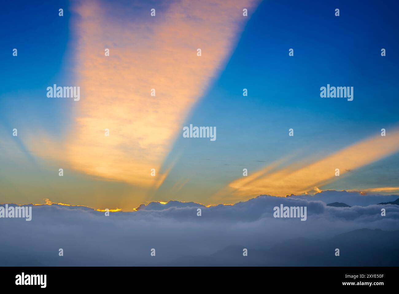 Malaysia sun orange tree cloud clouds hi-res stock photography and ...