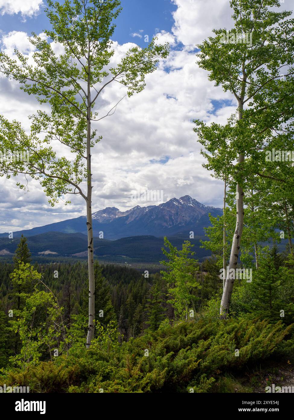 View towards Jasper from Maligne Canyon, Jasper National Park, Alberta ...