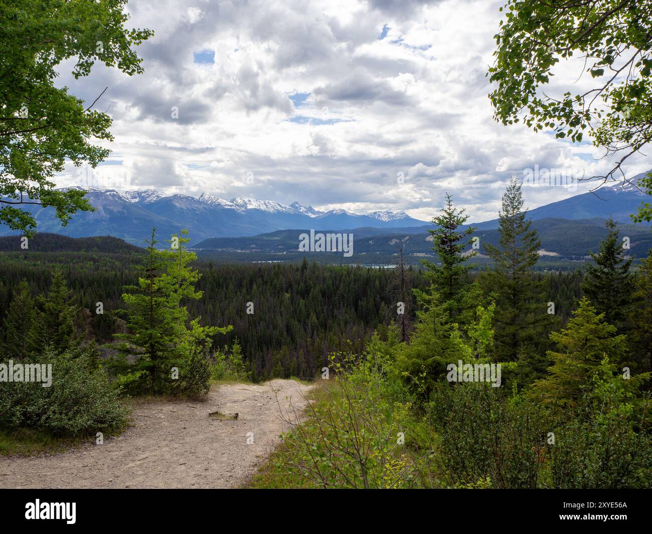 View towards Jasper from Maligne Canyon, Jasper National Park, Alberta ...