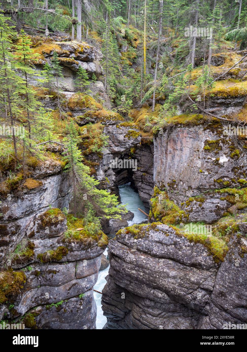 Maligne Canyon, Jasper National Park, Alberta Stock Photo - Alamy