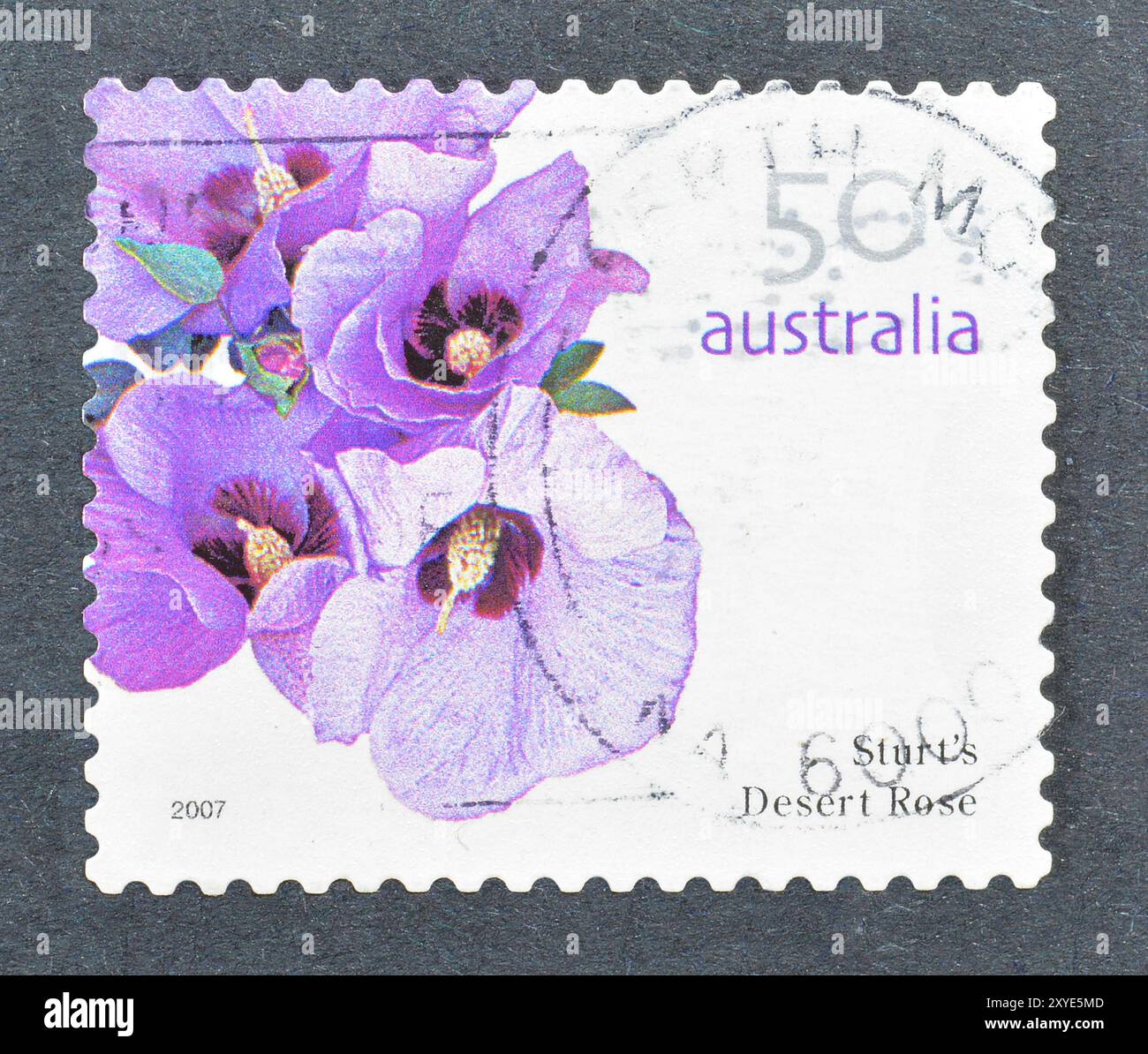 Cancelled postage stamp printed by Australia, that shows Sturt's Desert ...