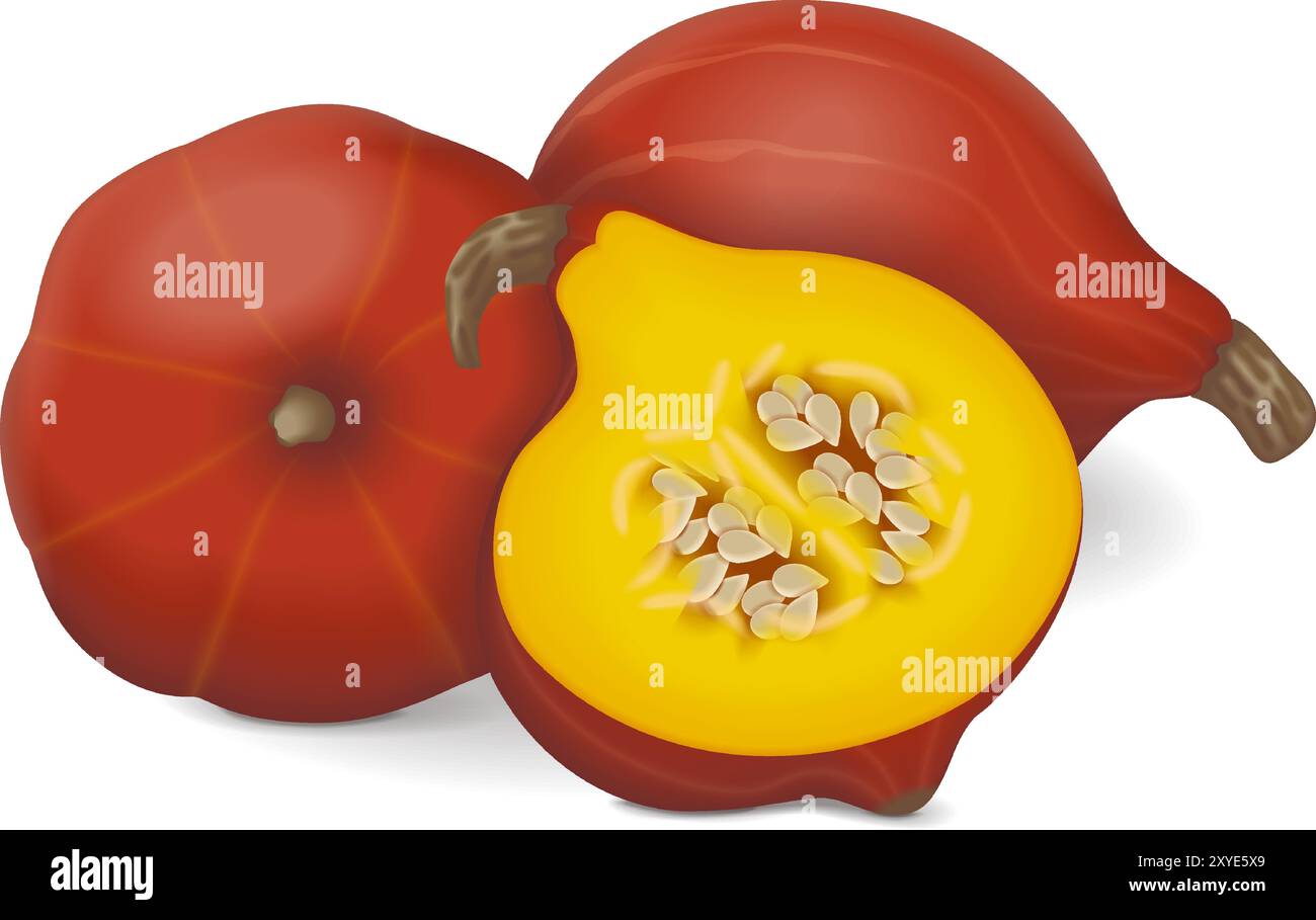 Whole and half of Red Kuri squash. Climbing Onion squash, Potimarron ...