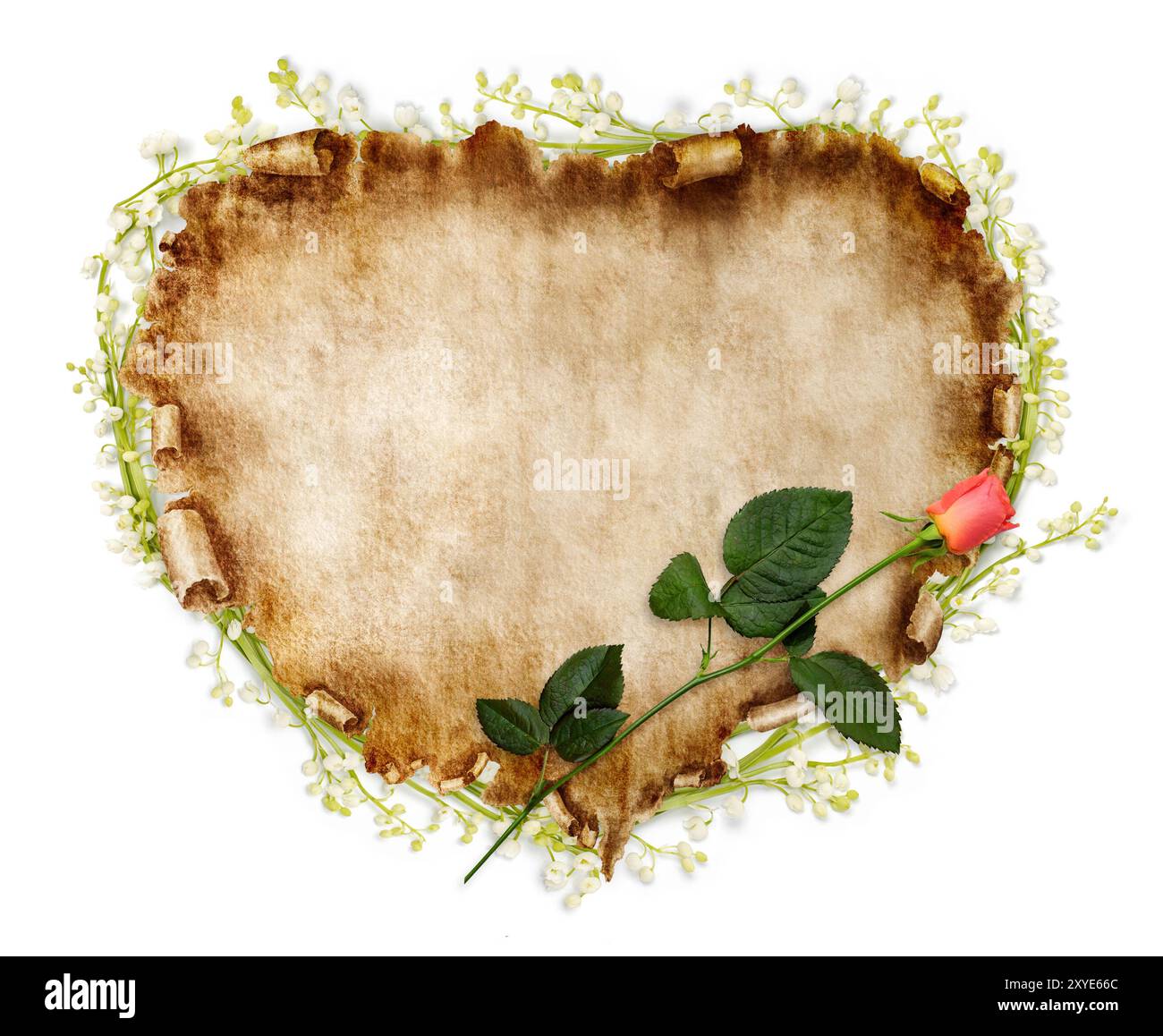 Heart-shaped vintage piece of parchment with a red rose on it ...