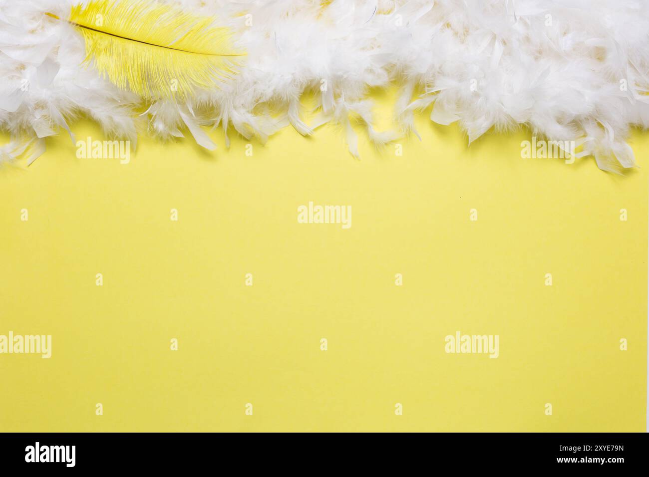 Yellow feather white Stock Photo - Alamy