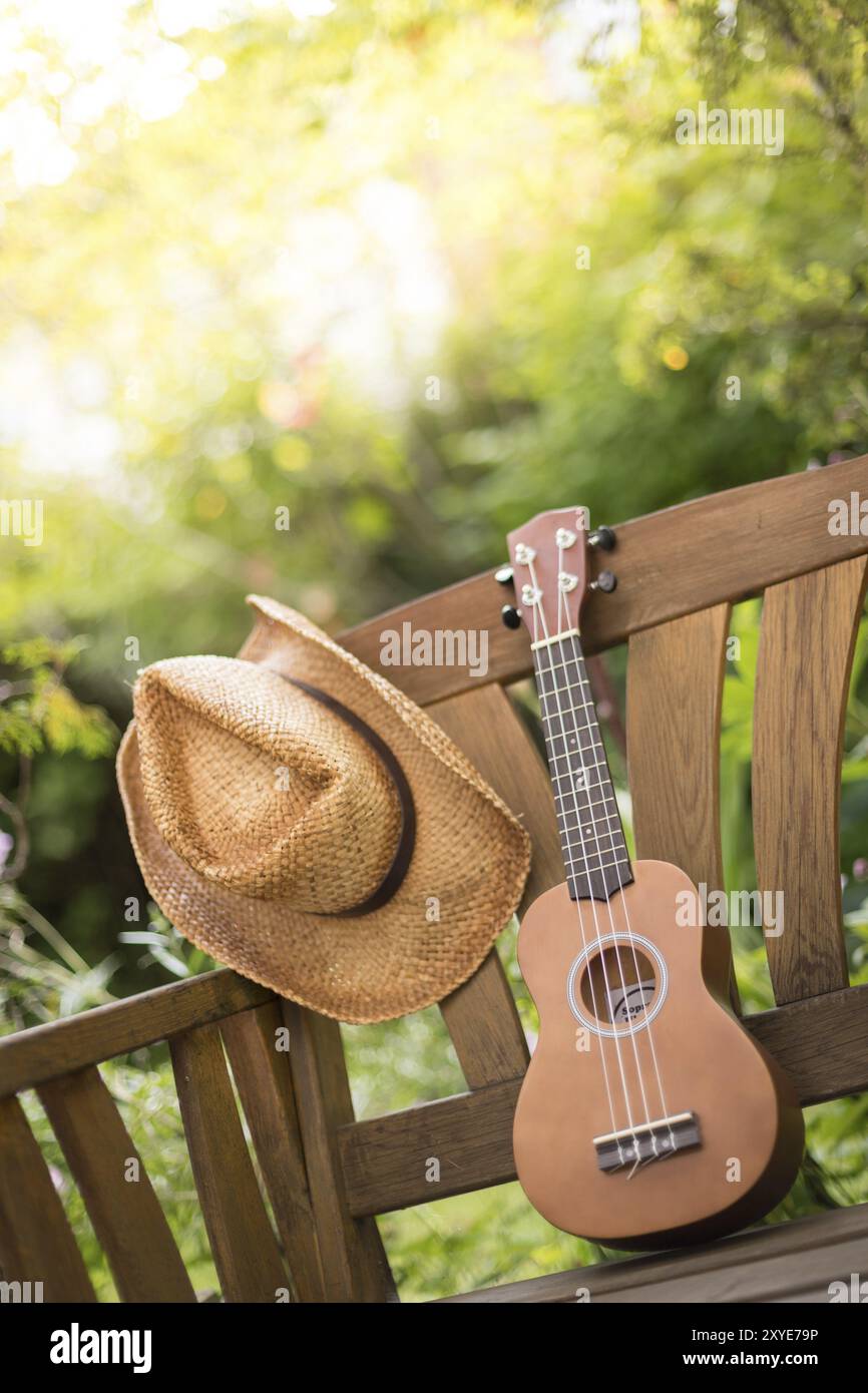 Ukulele and on a wooden park bench in summer, green area in the blurry ...
