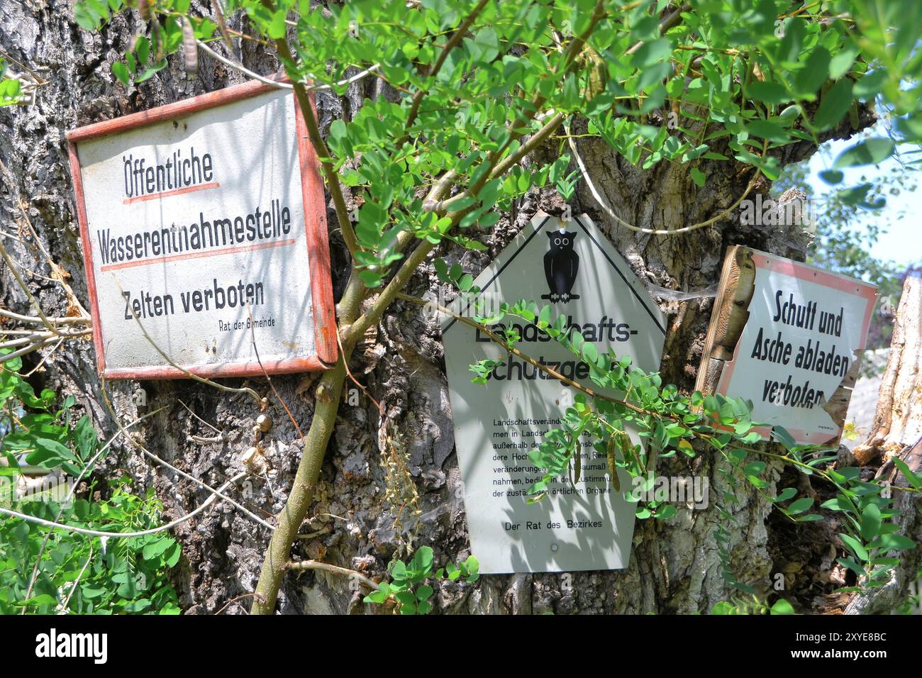Many signs on one tree Stock Photo - Alamy