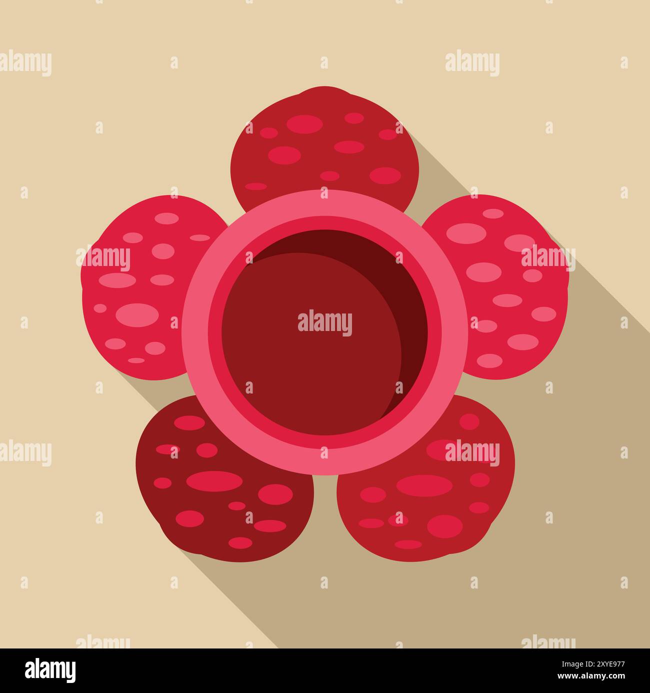 Rafflesia flower blooming showing petals and central hole icon in flat ...