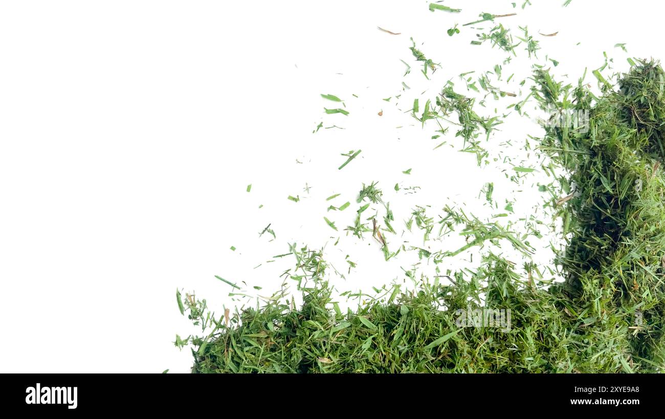 Cut out grass clippings from a lawnmower, set against a white ...