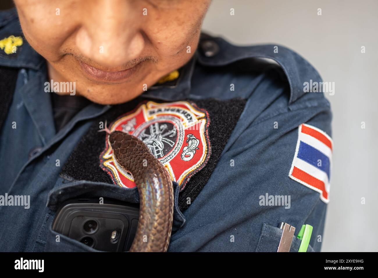 Firefighter Pinyo Pukpinyo is an expert in handling snakes. In a ...