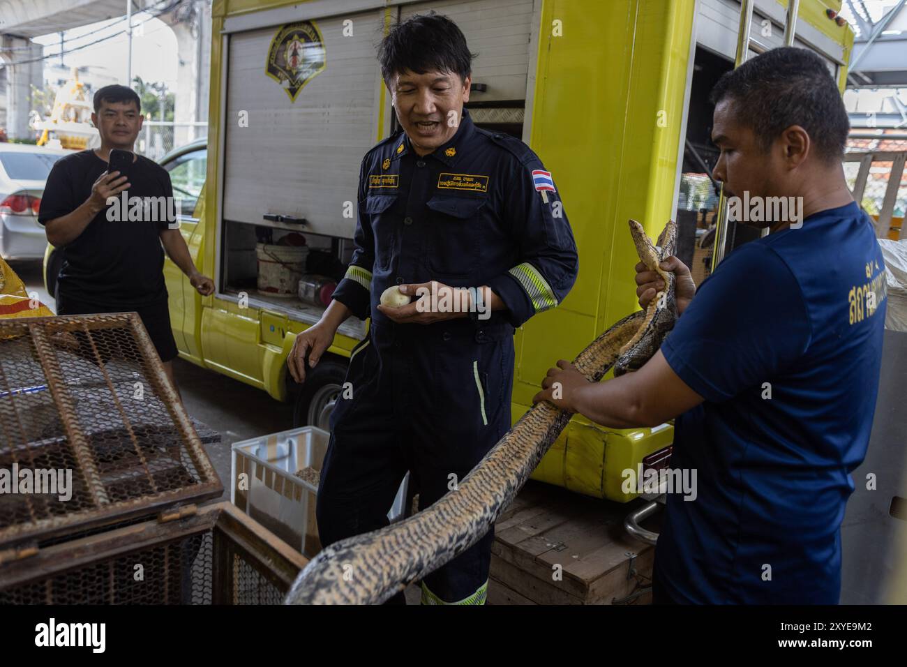 Firefighter Pinyo Pukpinyo is an expert in handling snakes. In a ...