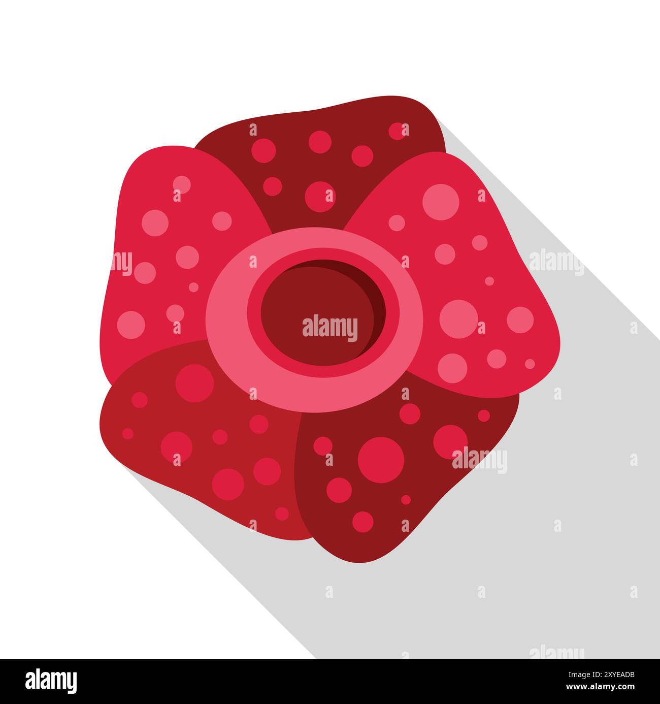 Rafflesia arnoldii illustration hi-res stock photography and images - Alamy