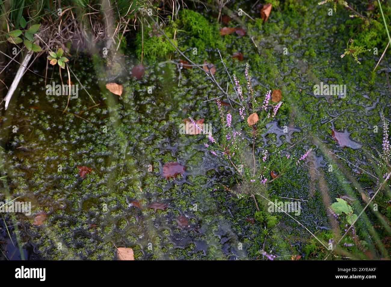 THEME PICTURE - Project 'image of the future': In times of climate ...