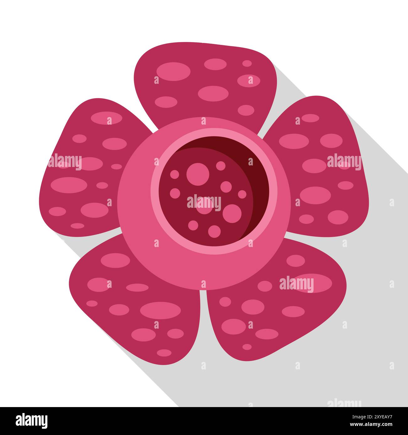 Rafflesia flower growing and showing its opened bud, ready to attract ...