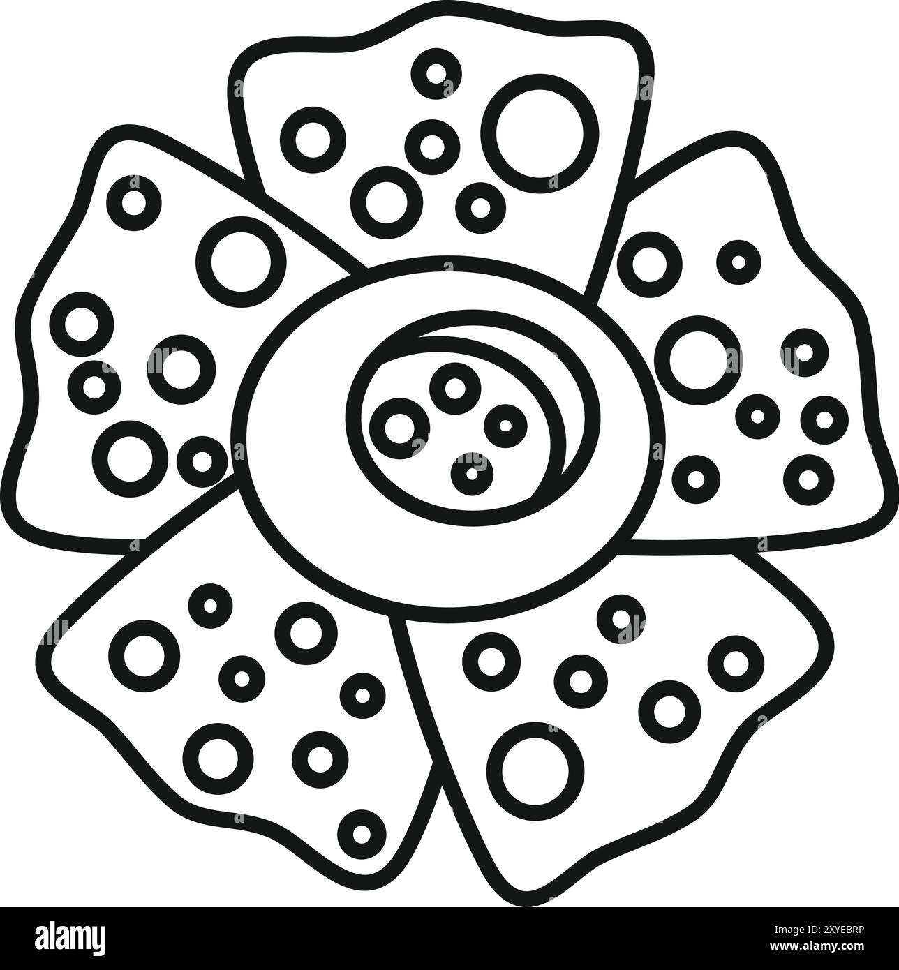 Rafflesia flower bud Black and White Stock Photos & Images - Alamy