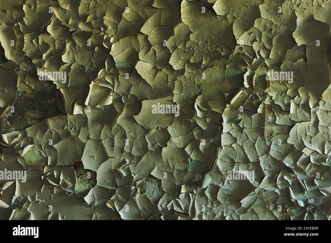 A surface with an old cracked paint splitting large pieces Stock Photo ...