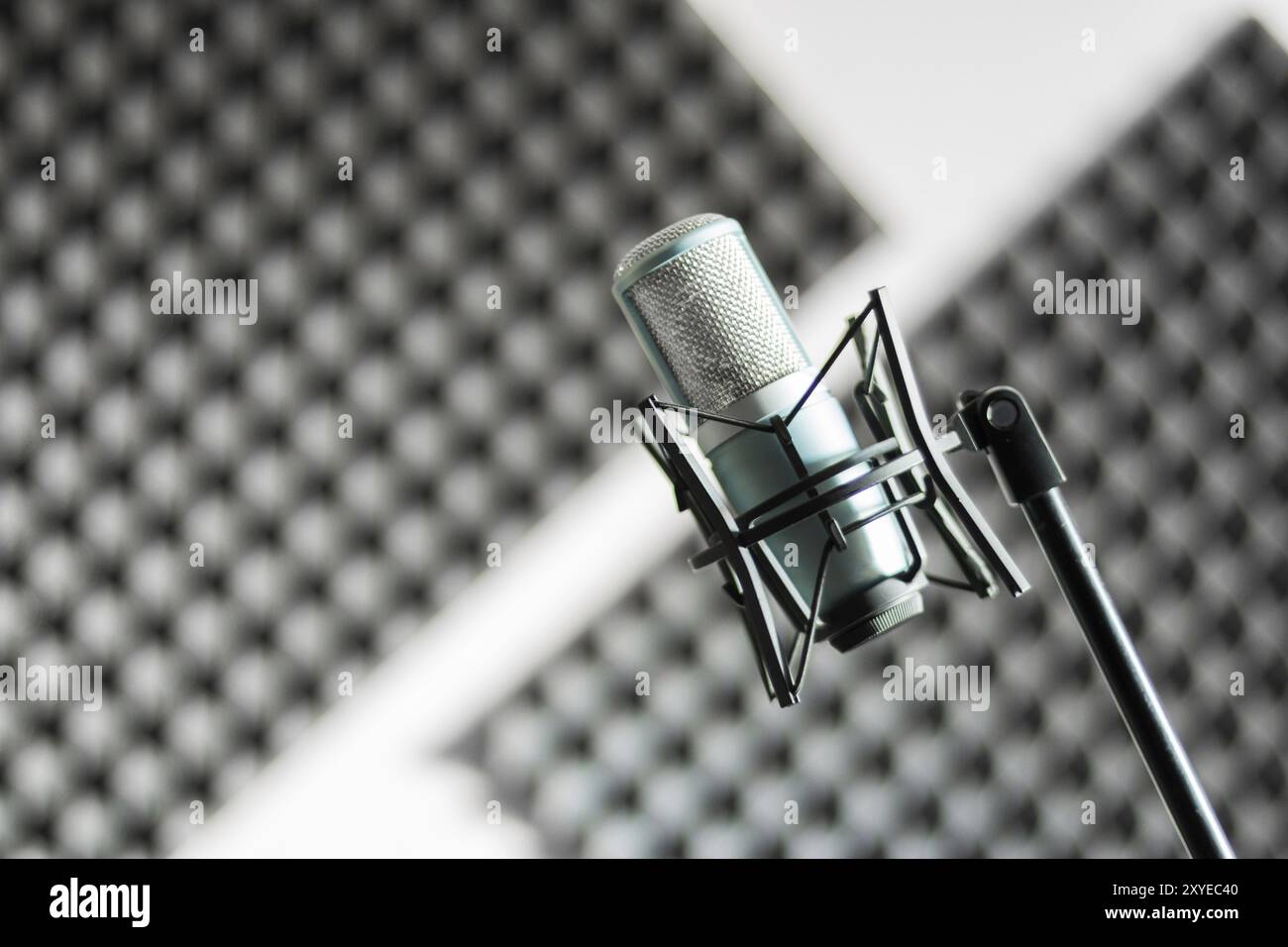 Professional studio microphone in a recording studio, sound insulation ...