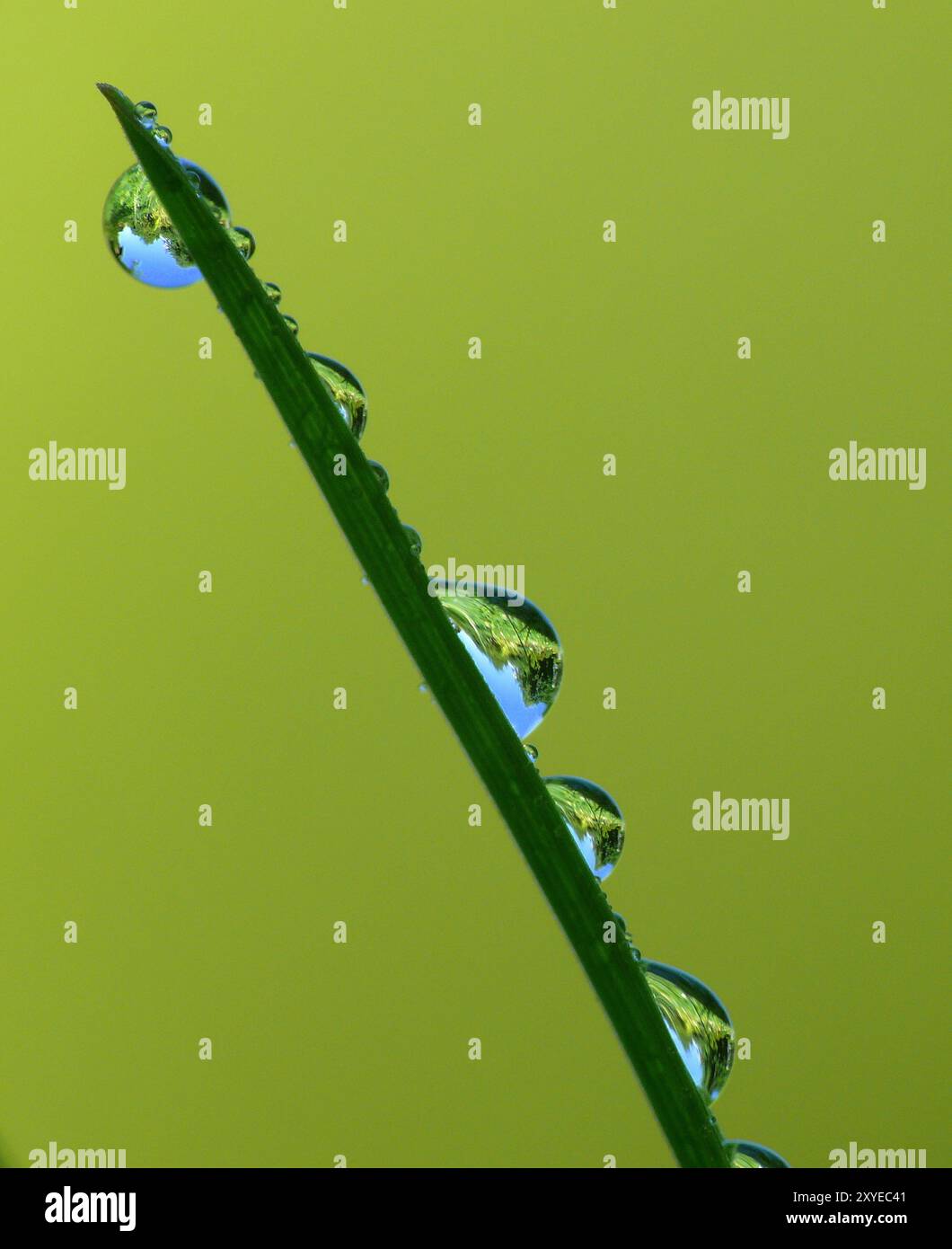 Blade sections hi-res stock photography and images - Alamy