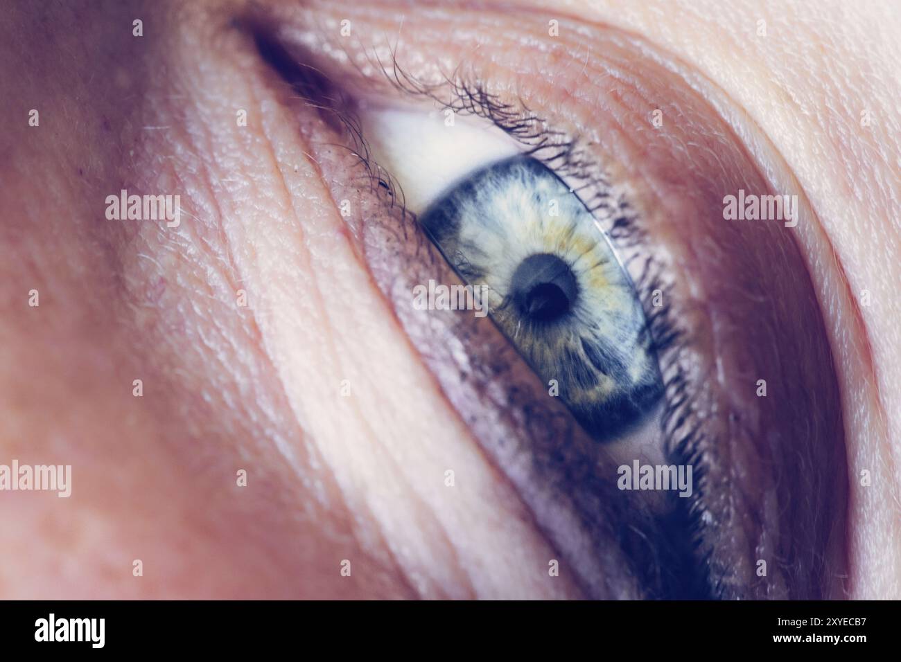 Exposed iris hi-res stock photography and images - Alamy