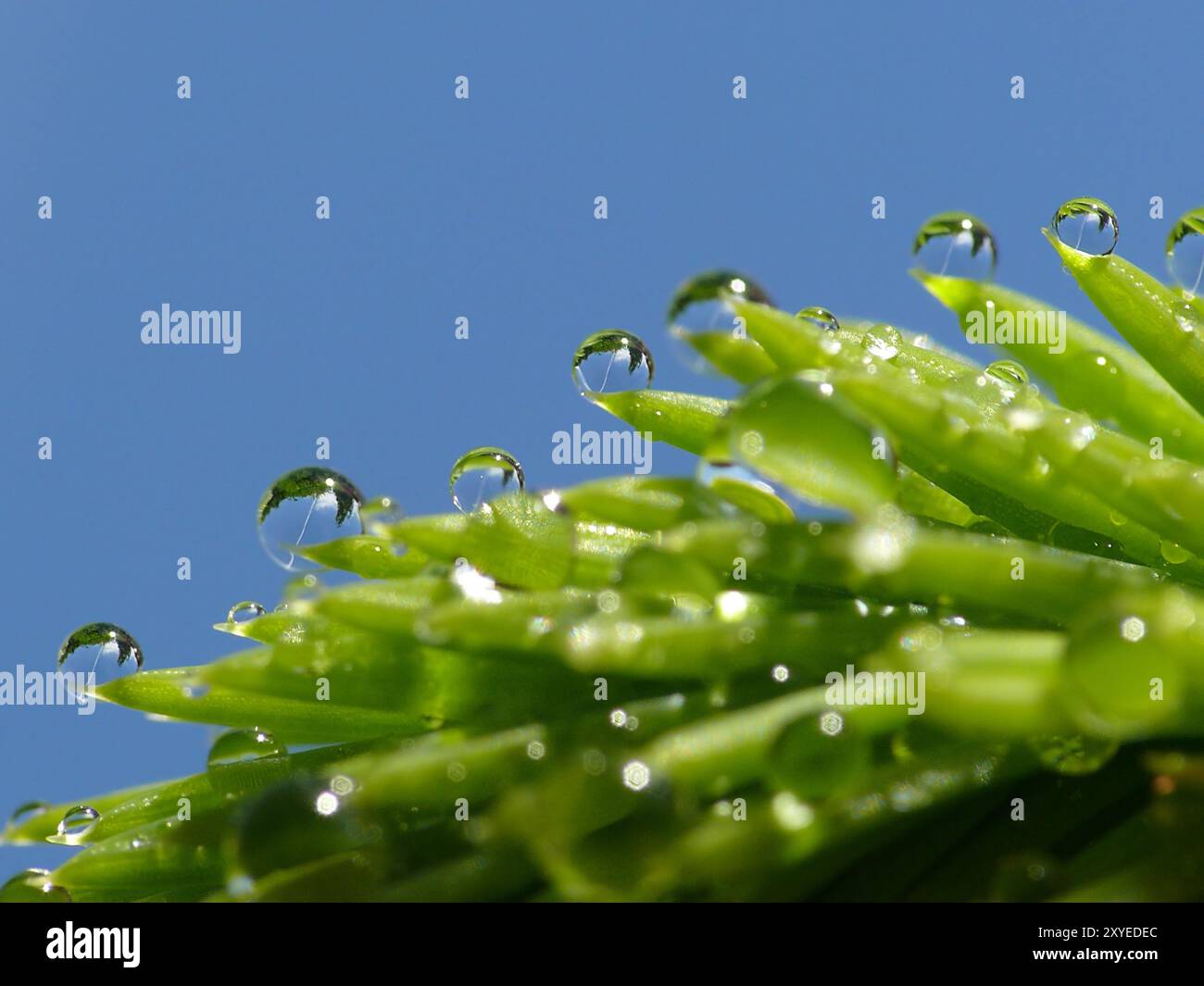Water drop words hi-res stock photography and images - Alamy