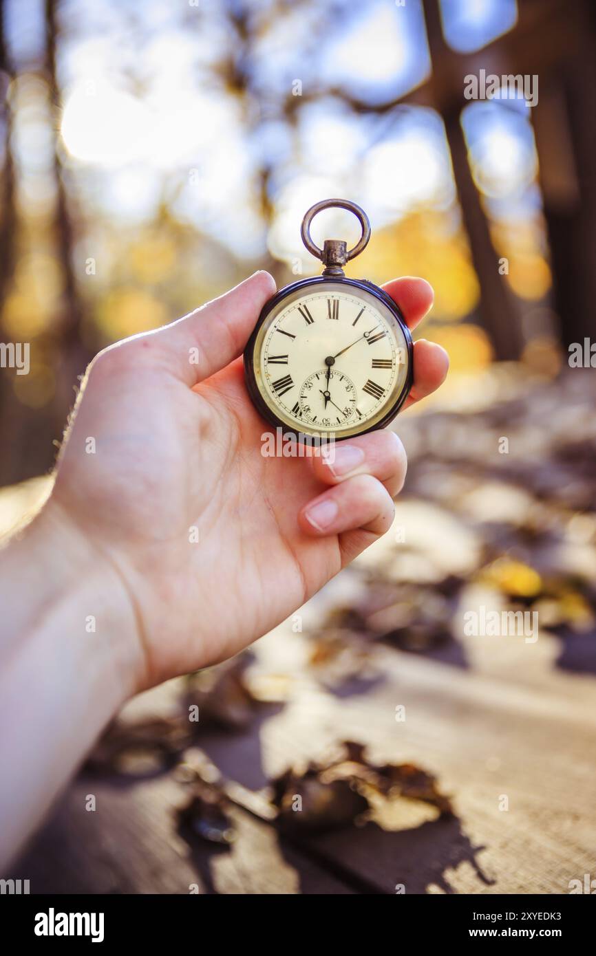 Hand held stop watch outdoors, autumn, blurry background Stock Photo ...