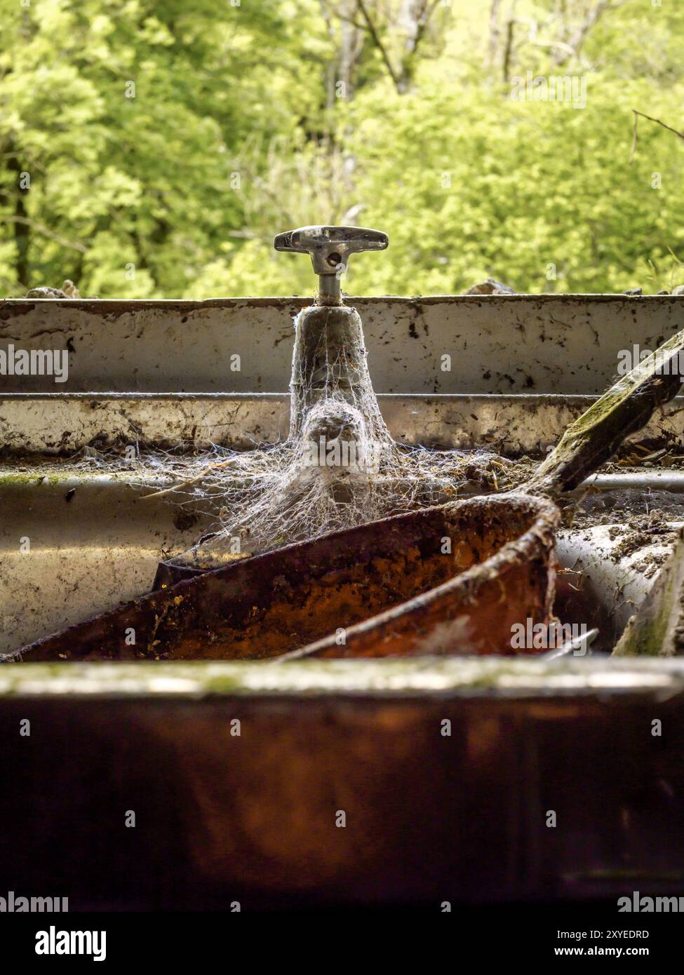 Cobwebs drape over a rusty kitchen sink filled with old utensils ...