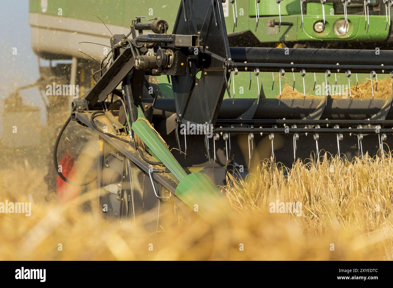 Close-up of the reel and cutting unit of a combine harvester Stock ...