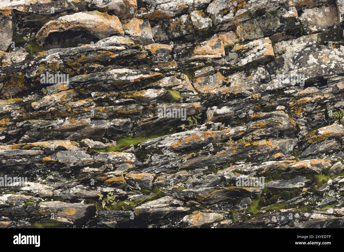 Textured basalt background thin stone fibers in the cut. natural ...