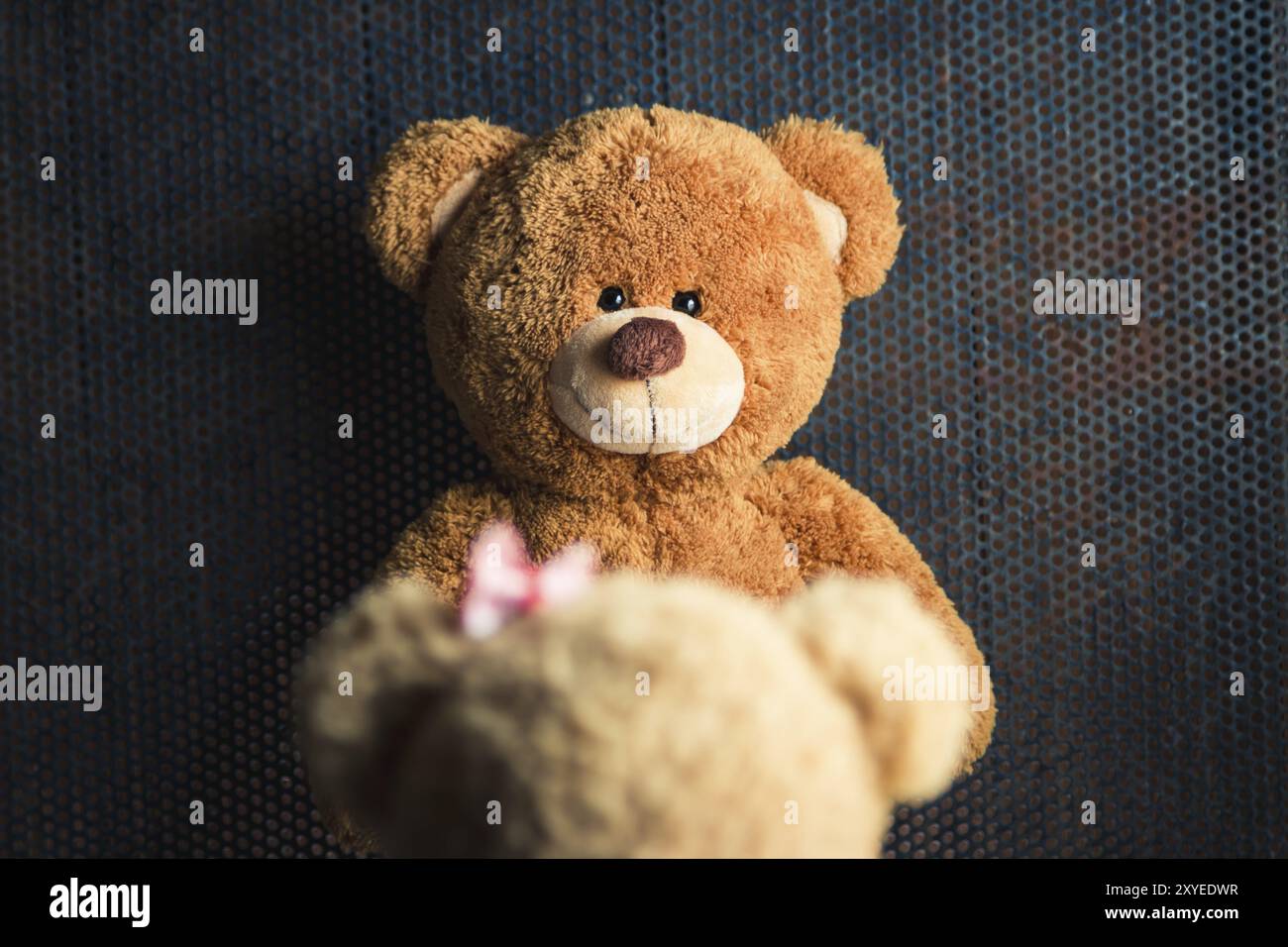 Unique Perspectives of Cute teddy bears with old metal background Stock ...