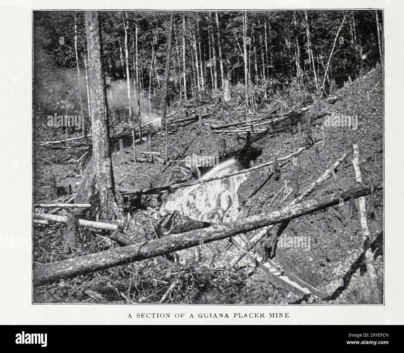 A SECTION OF A GUIANA PLACER MINE from the Article DUTCH GUIANA FROM A ...