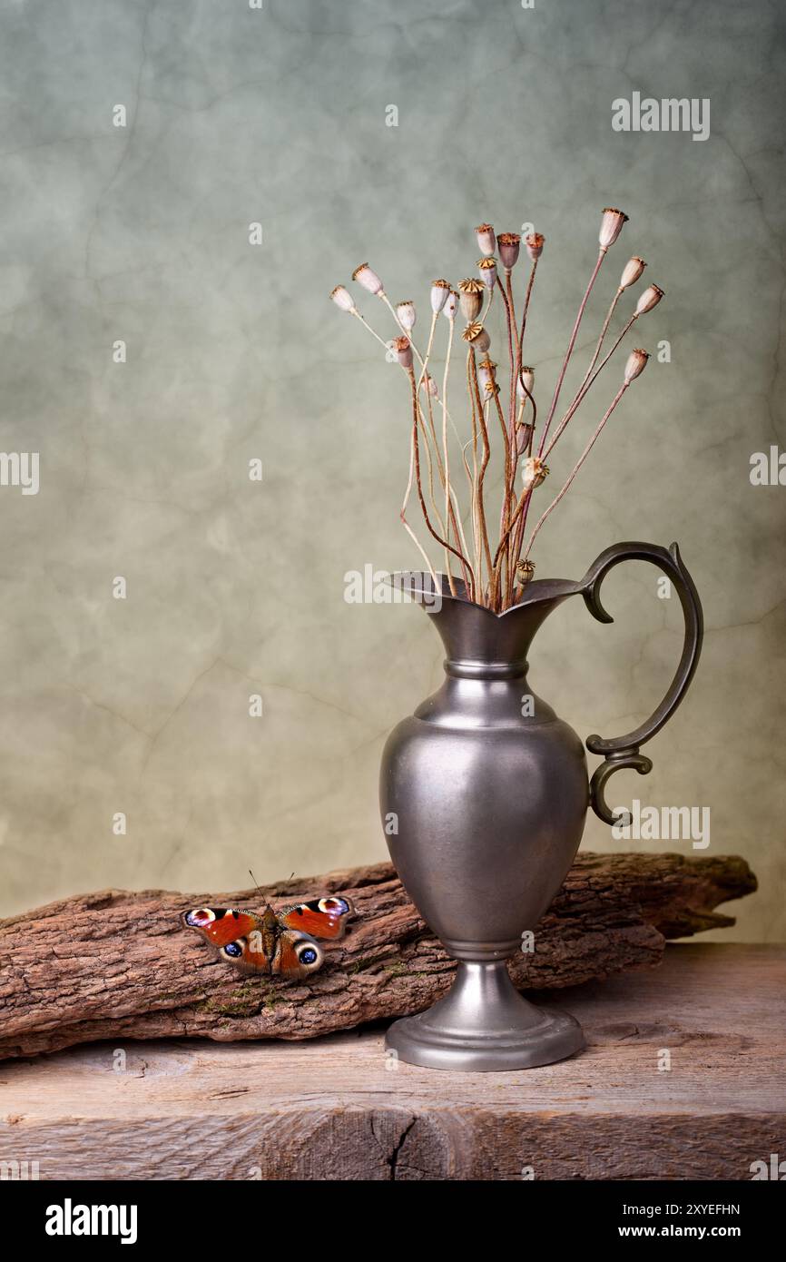Still life with peacock butterfly and dried poppy capsules Stock Photo ...