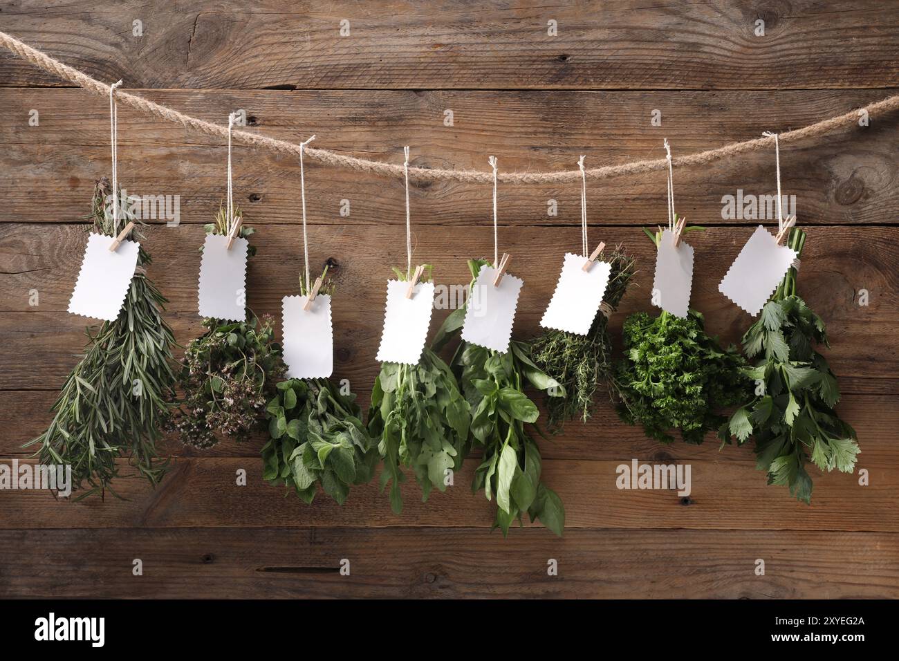 Bunches of different aromatic herbs with blank notes hanging on rope ...
