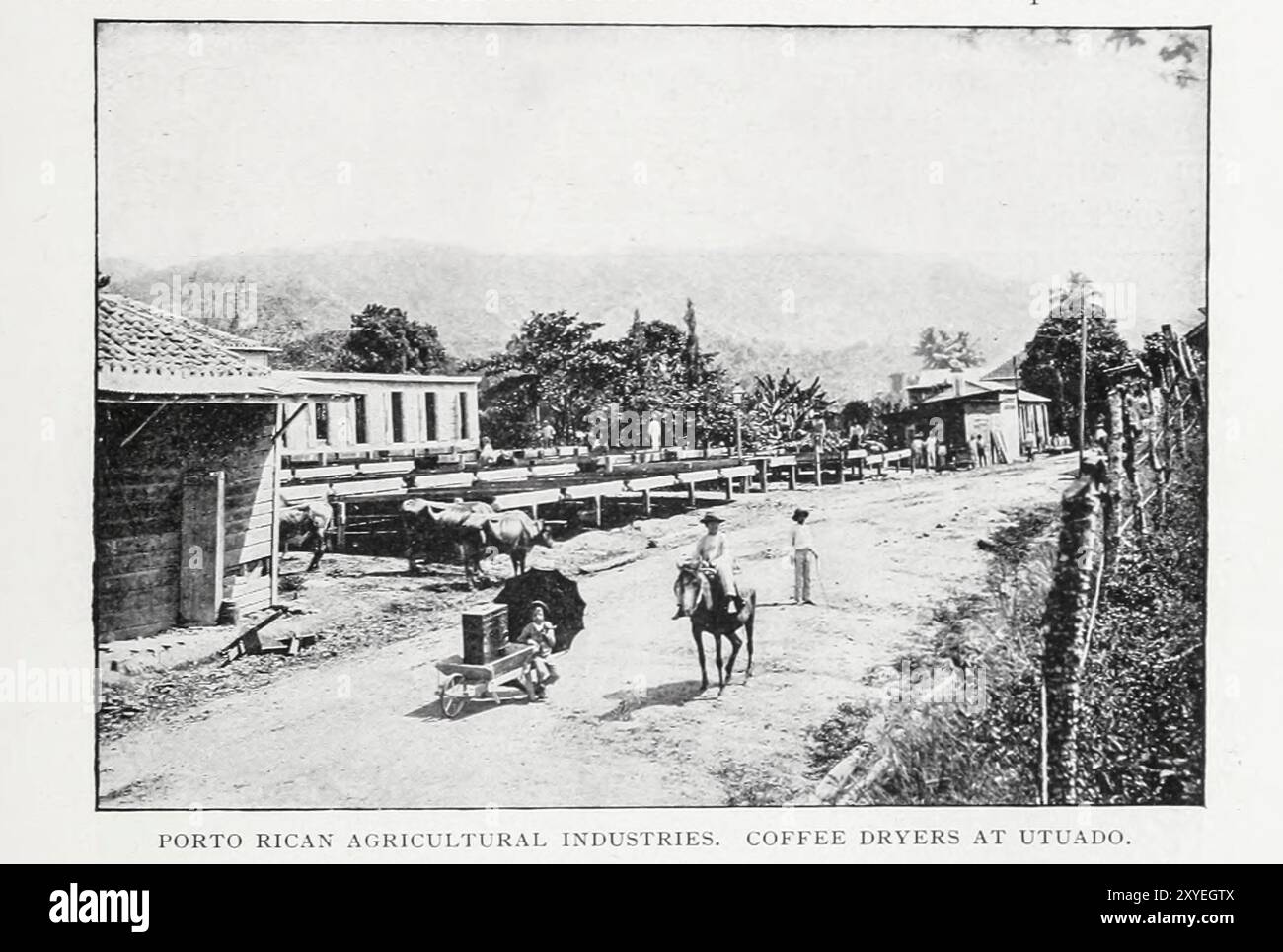 Coffee dryers at Utuado from the Article THE INDUSTRIAL DEVELOPMENT OF ...
