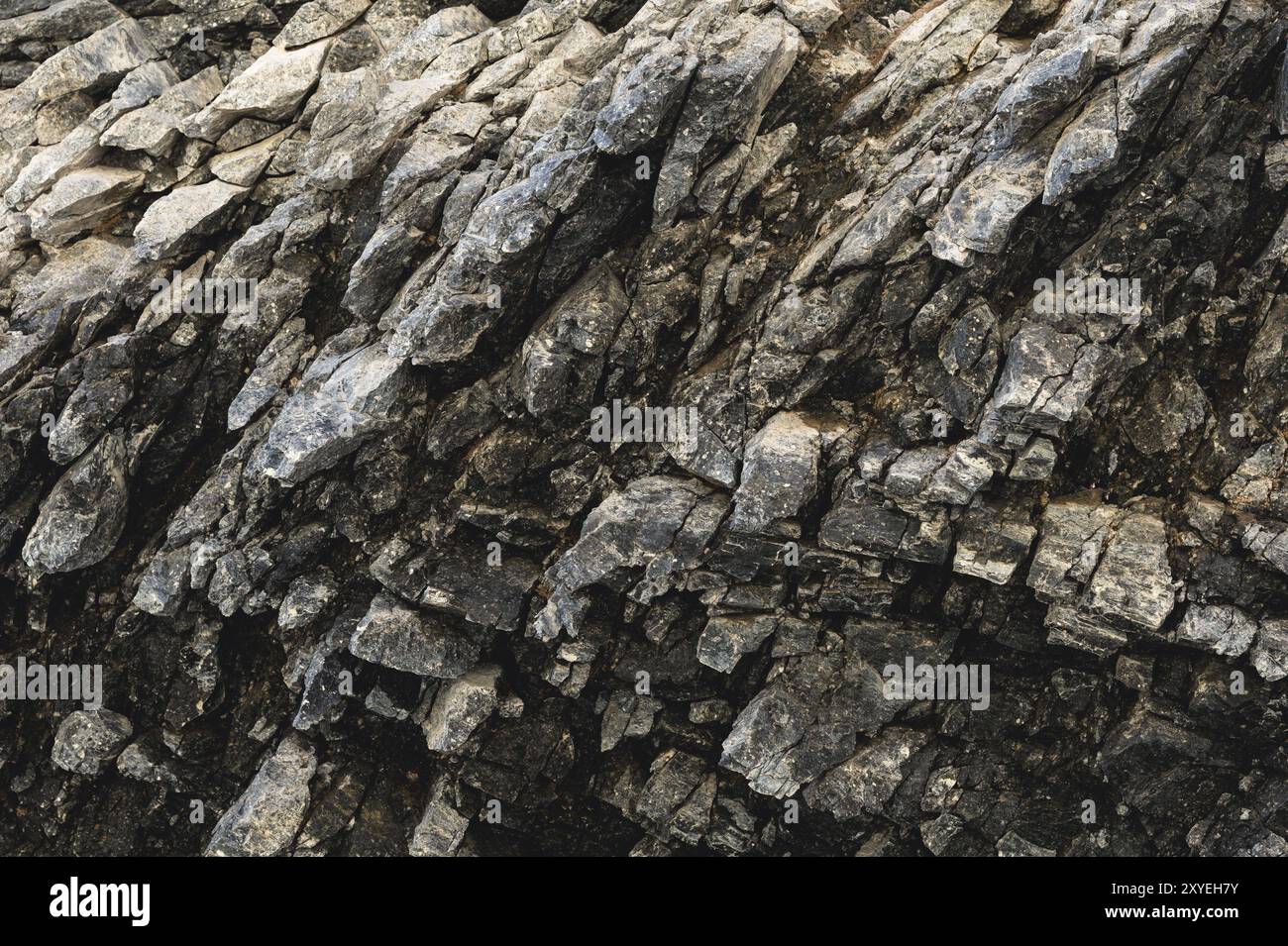 Textured basalt background thin stone fibers in the cut. natural ...