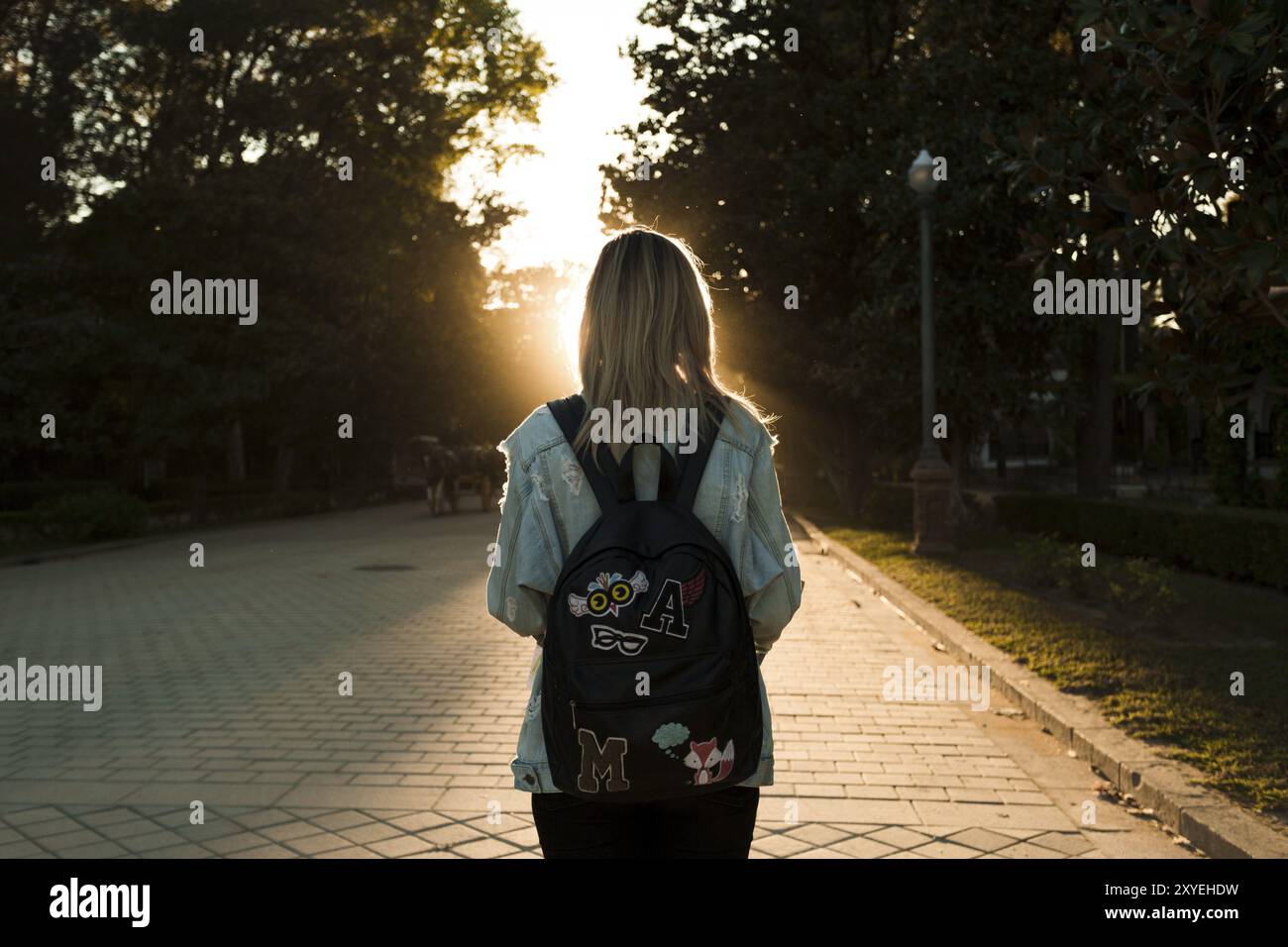 Back view woman looking sunset Stock Photo - Alamy