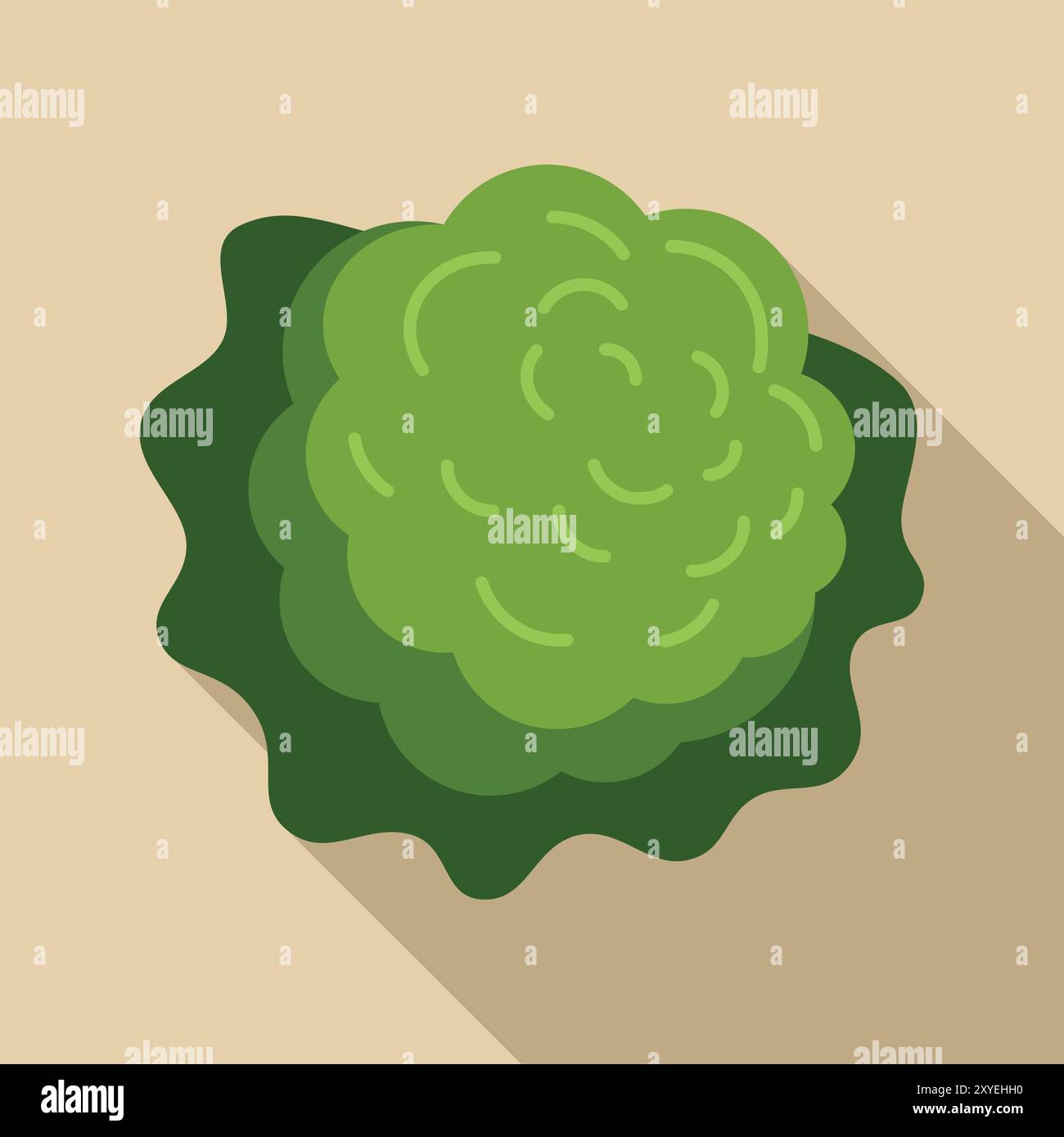 Hedge top Stock Vector Images - Alamy