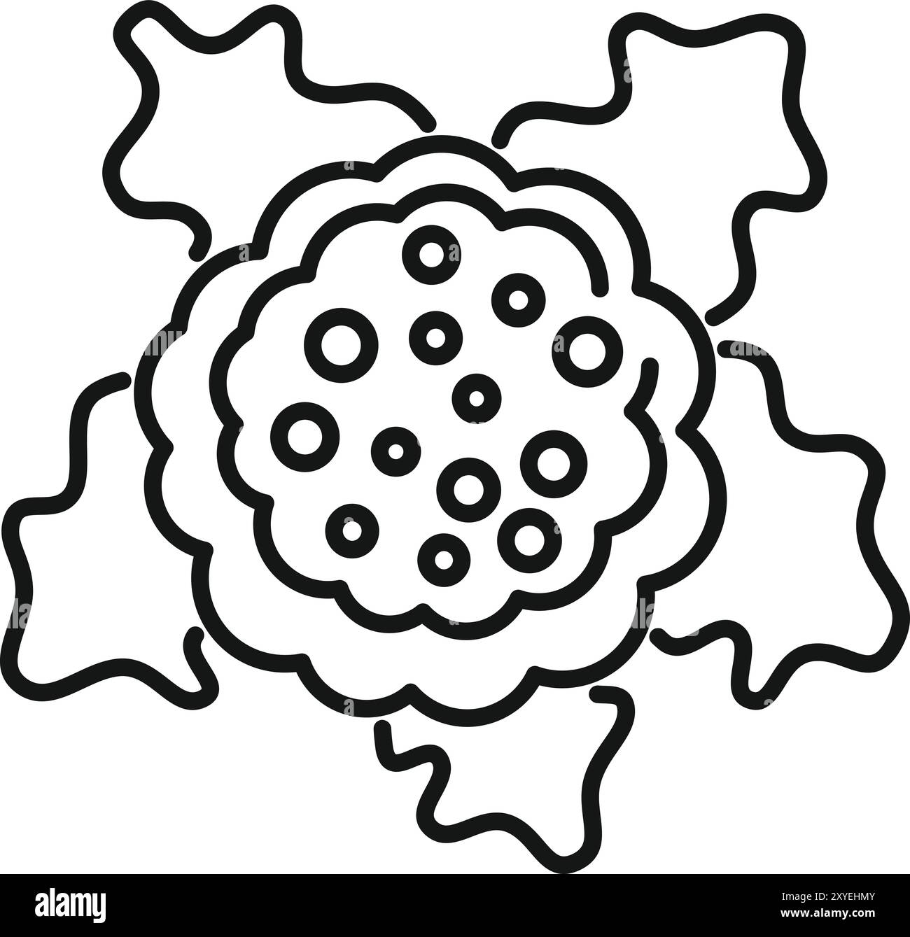 Simple line drawing icon of a cauliflower, a nutritious vegetable often ...