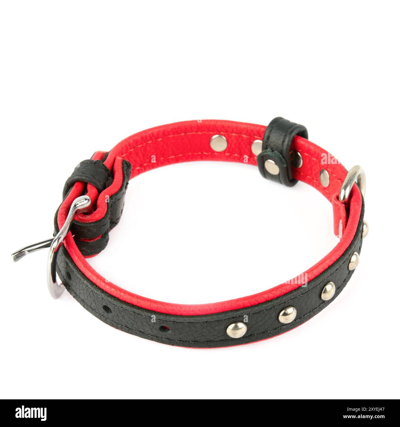 red and black collar solated on white background Stock Photo - Alamy