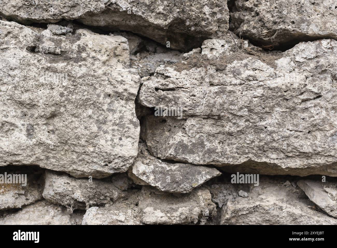 Medieval medicine bandage hi-res stock photography and images - Alamy