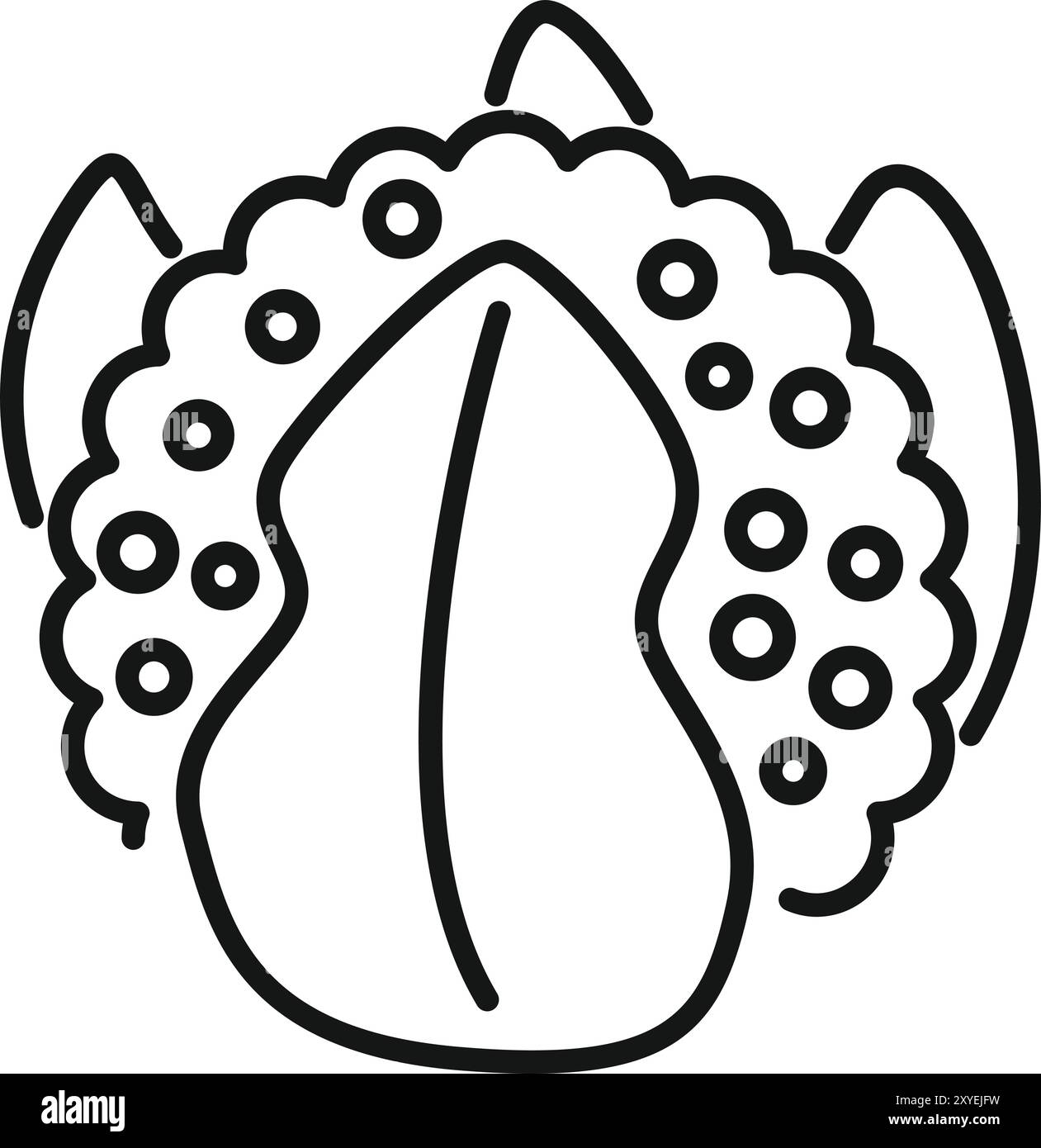 Taste buds human tongue hi-res stock photography and images - Alamy