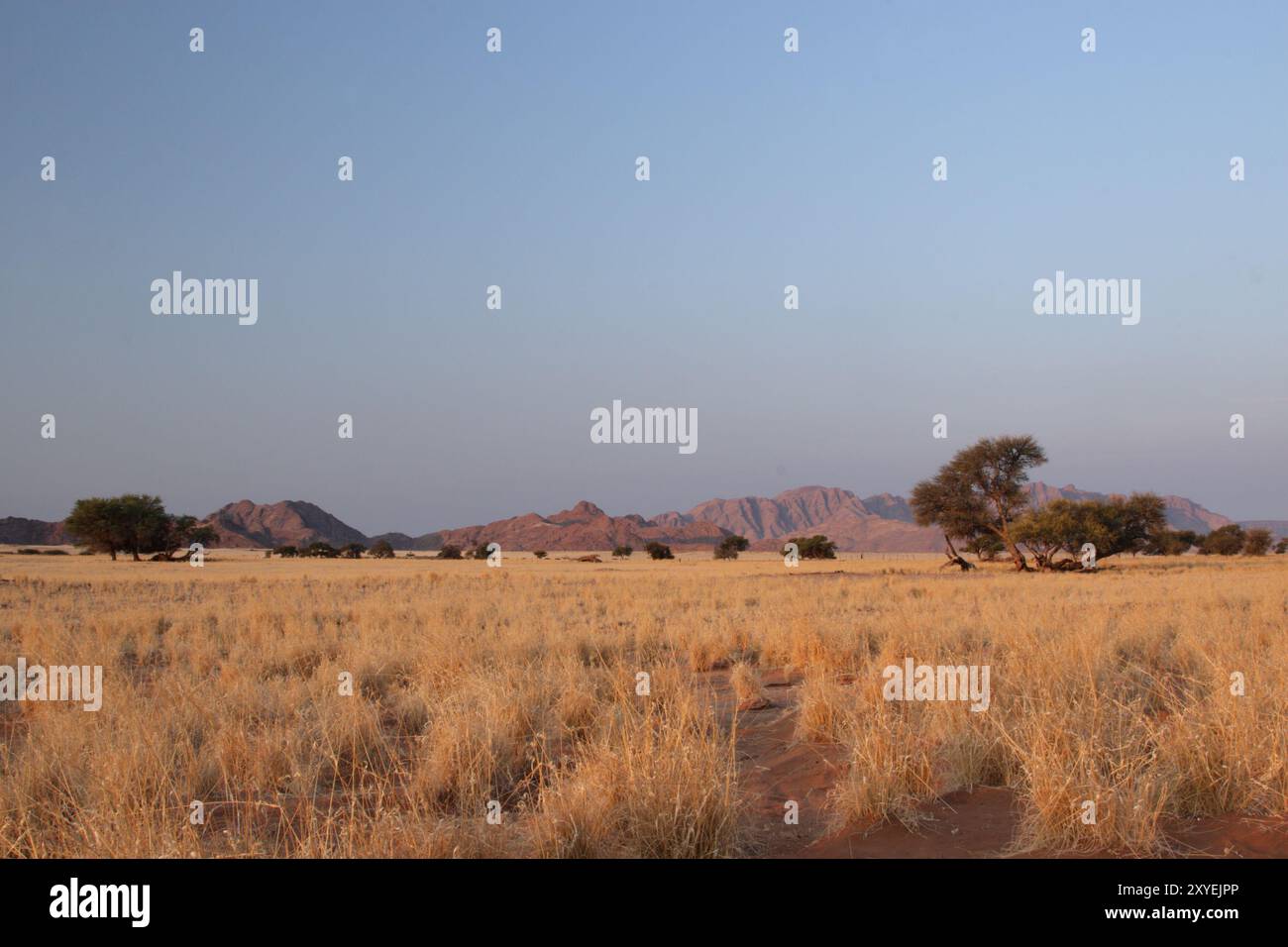 Landscape in Namibia, landscape in Namibia Stock Photo - Alamy