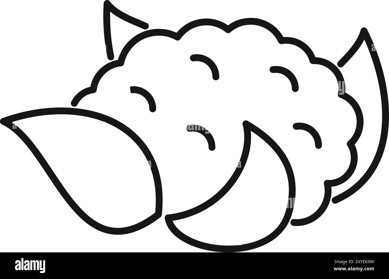 Simple line drawing icon of a cauliflower with large leaves ...