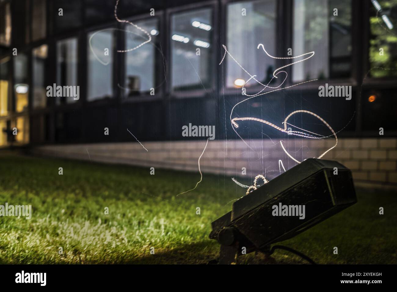 Light trails of insects in the headlights Stock Photo - Alamy