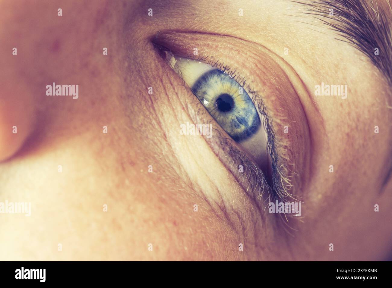 Exposed iris hi-res stock photography and images - Alamy