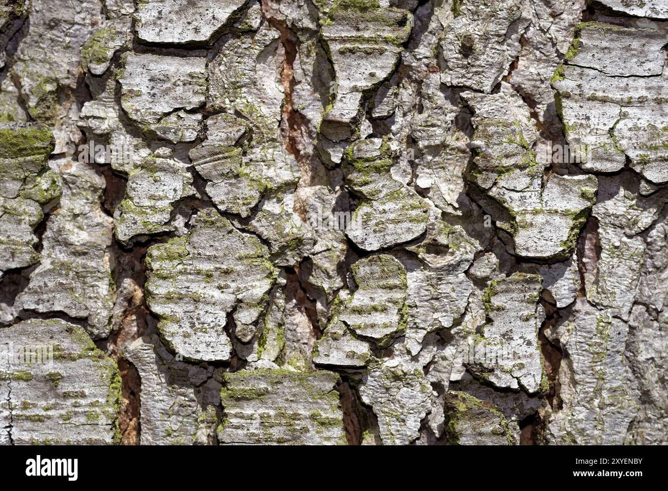 Tricky patterns hi-res stock photography and images - Alamy