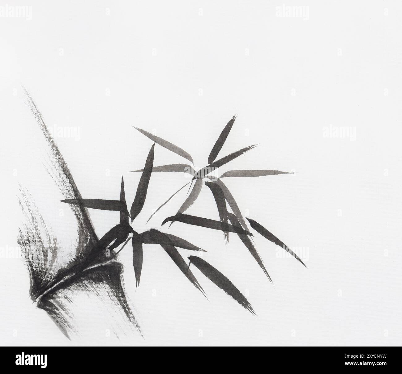Detailed depictions of leaves hi-res stock photography and images - Alamy